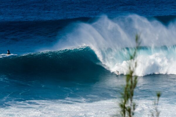 Paige Alms Wins Jaws Big Wave Champs - SurfGirl Magazine