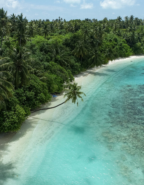 Adventure with Global Surf, Maldives - SurfGirl Magazine