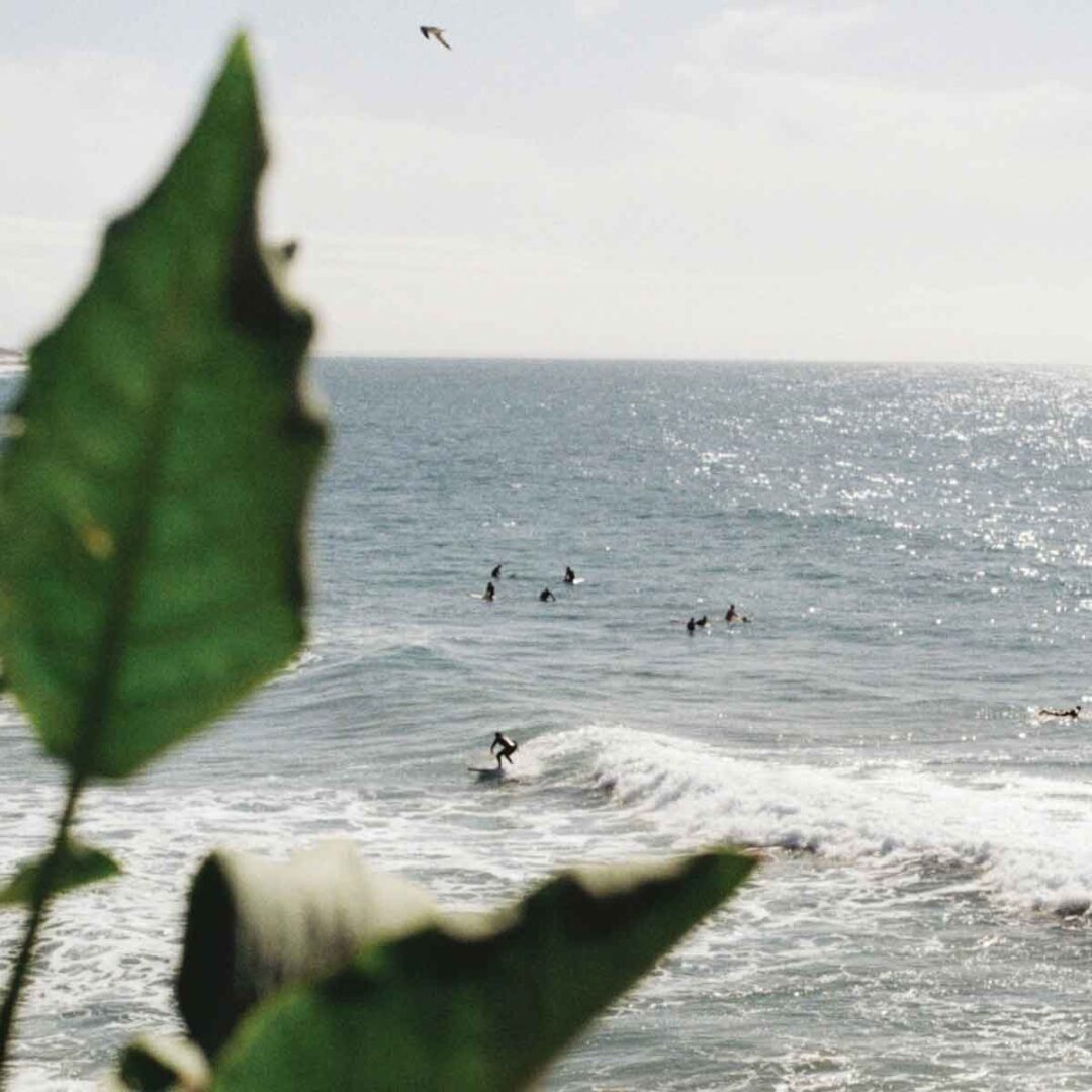 Family Surf Travel Guide - SurfGirl Magazine