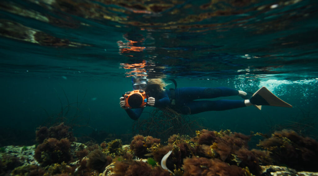 Salt: Alice Ward's Story - SurfGirl Magazine